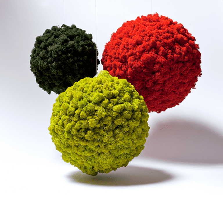 Moss Shop | Buy high-quality colored moss online