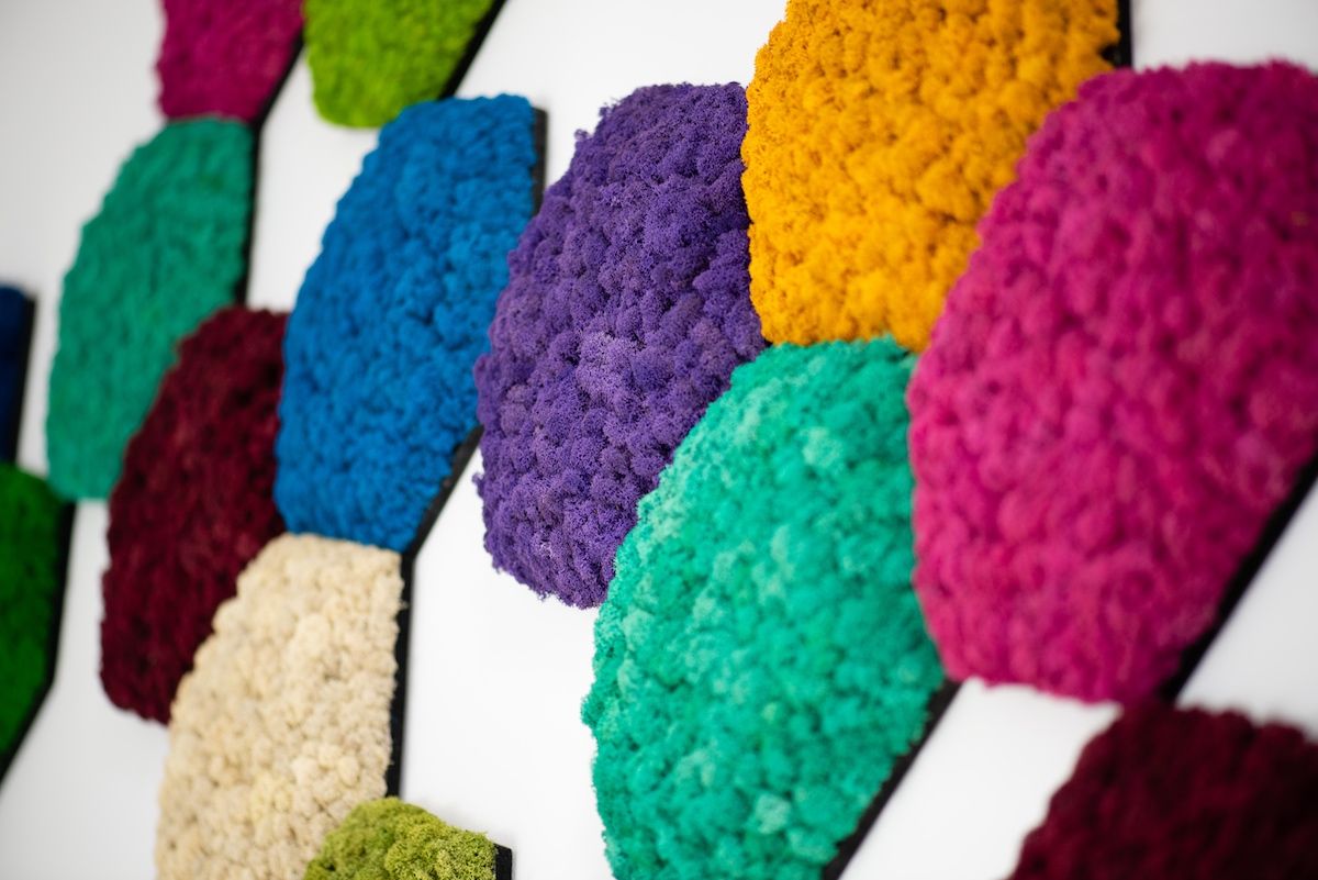 Luxurious moss walls & moss art for professionals